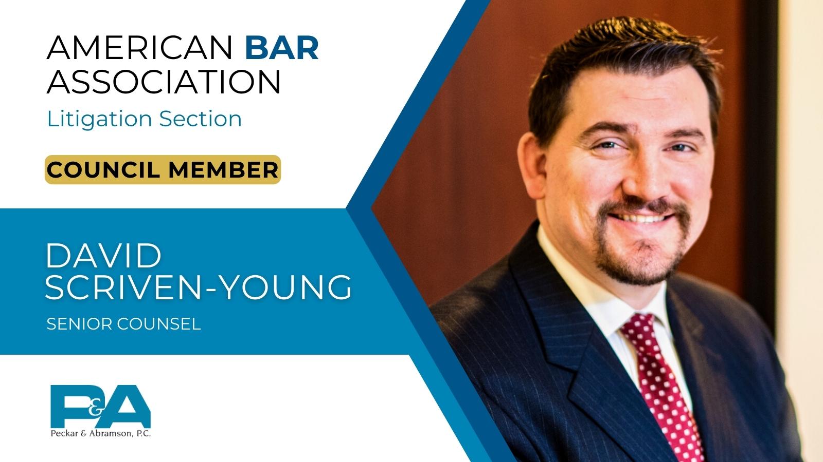 David Scriven-Young Named Council Member for the ABA Litigation Section ...